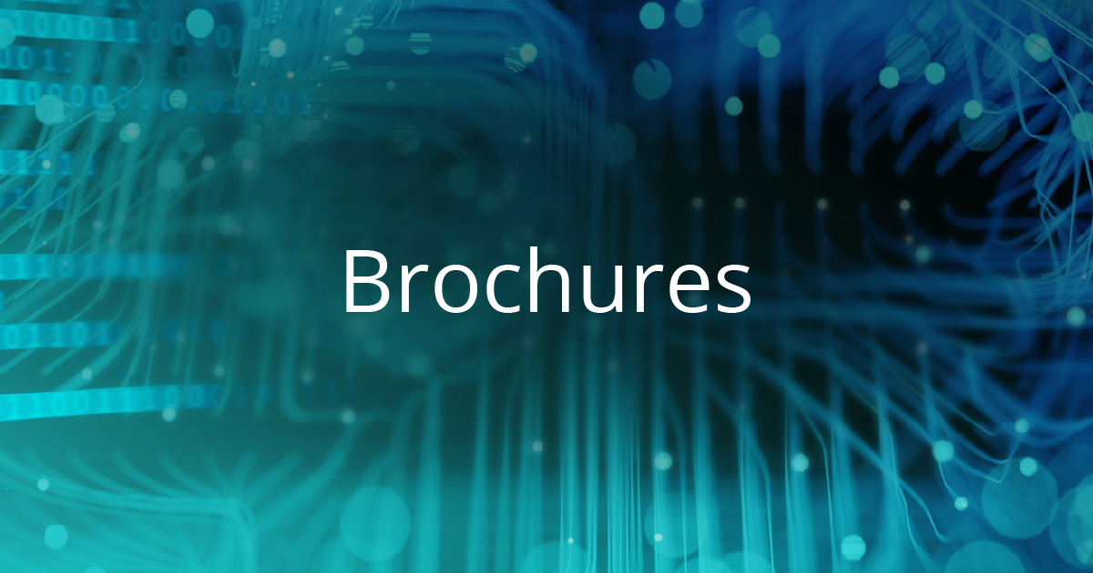 Polyworks Dataloop Brochures